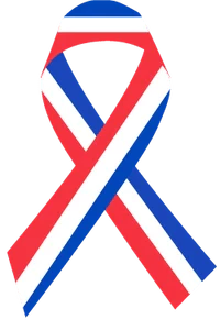 Patriotic/Military Ribbon Magnets, Wristbands, American Flags – Support ...