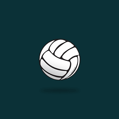 Volleyball Car Magnets and Volleyball Shatterballs - Shop Now – Support ...